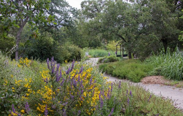 California garden store
