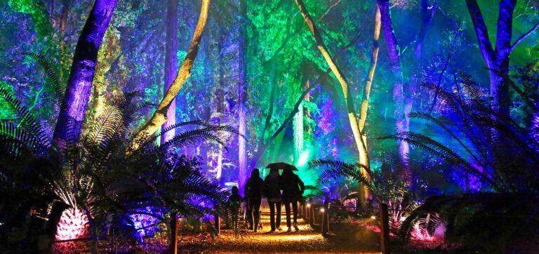 Visit - Descanso Gardens