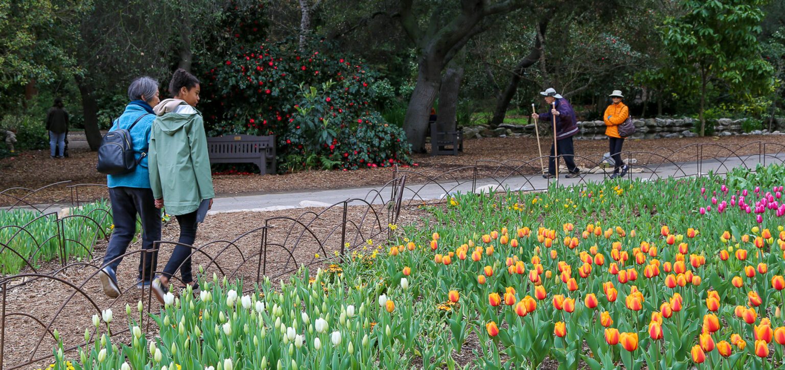 Maps & Itineraries for Descanso Gardens