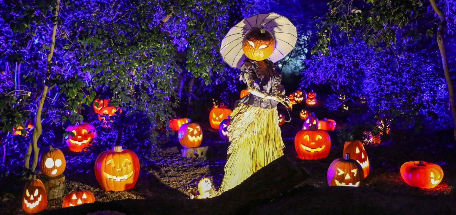 Enchanted tickets - Descanso Gardens