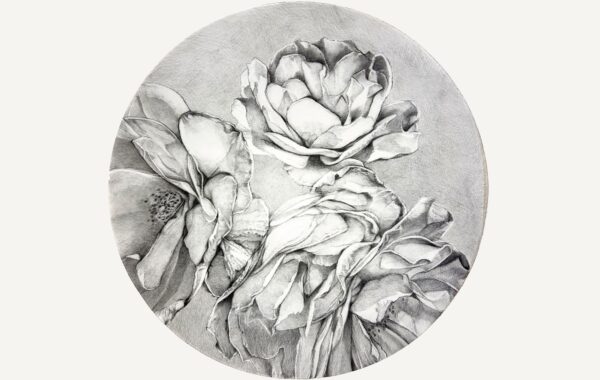 2024 Exhibitions - Descanso Gardens